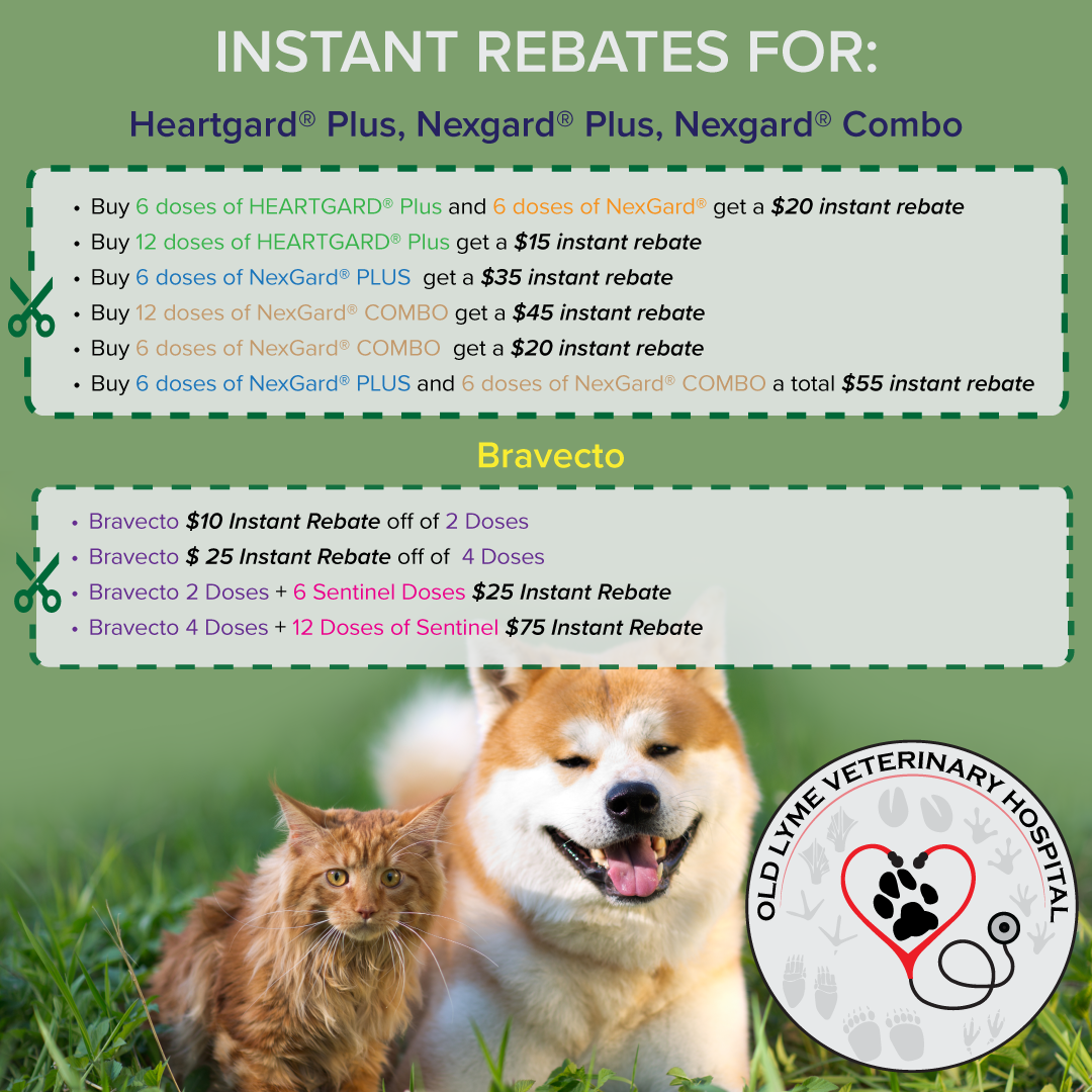 Rebates - Old Lyme Veterinary Hospital - Old Lyme, CT